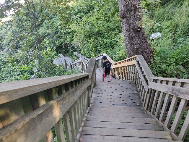 1001 steps trail - rico_log