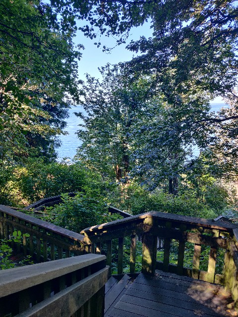 1001 steps trail - rico_log