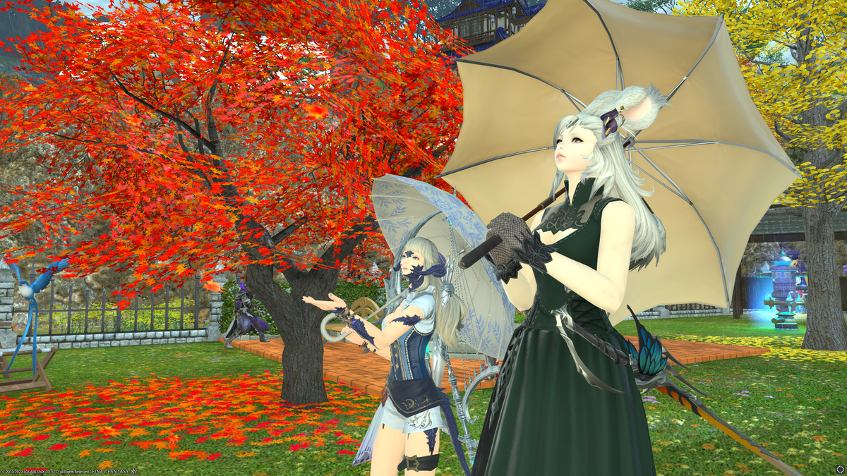 【FF14】初見タレイア🌱 - curtain