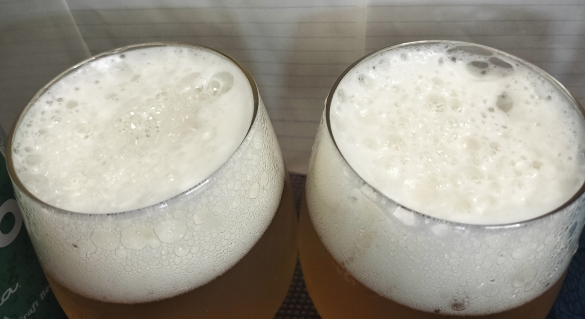 【ビール】ダックダック グース セッションIPAを実飲レビュー。色々薄くほんのりハーブな一杯でした。【毬花比較】 - 生きたいrinshのブログ