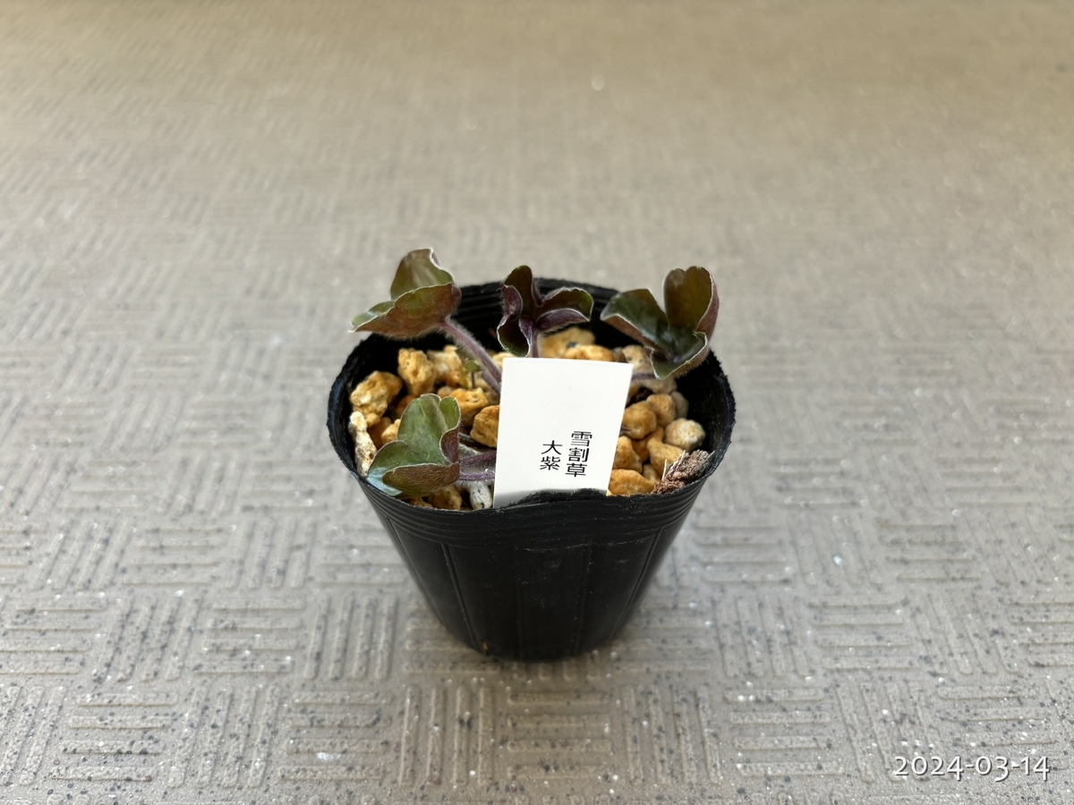 rio's blog since 2023