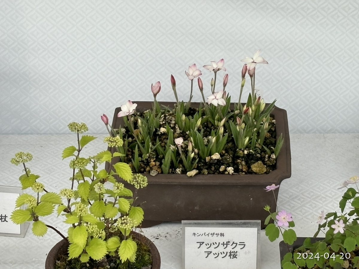 rio's blog since 2023