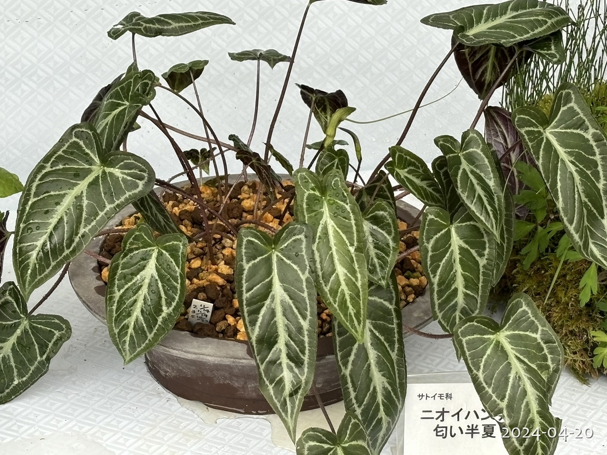 rio's blog since 2023