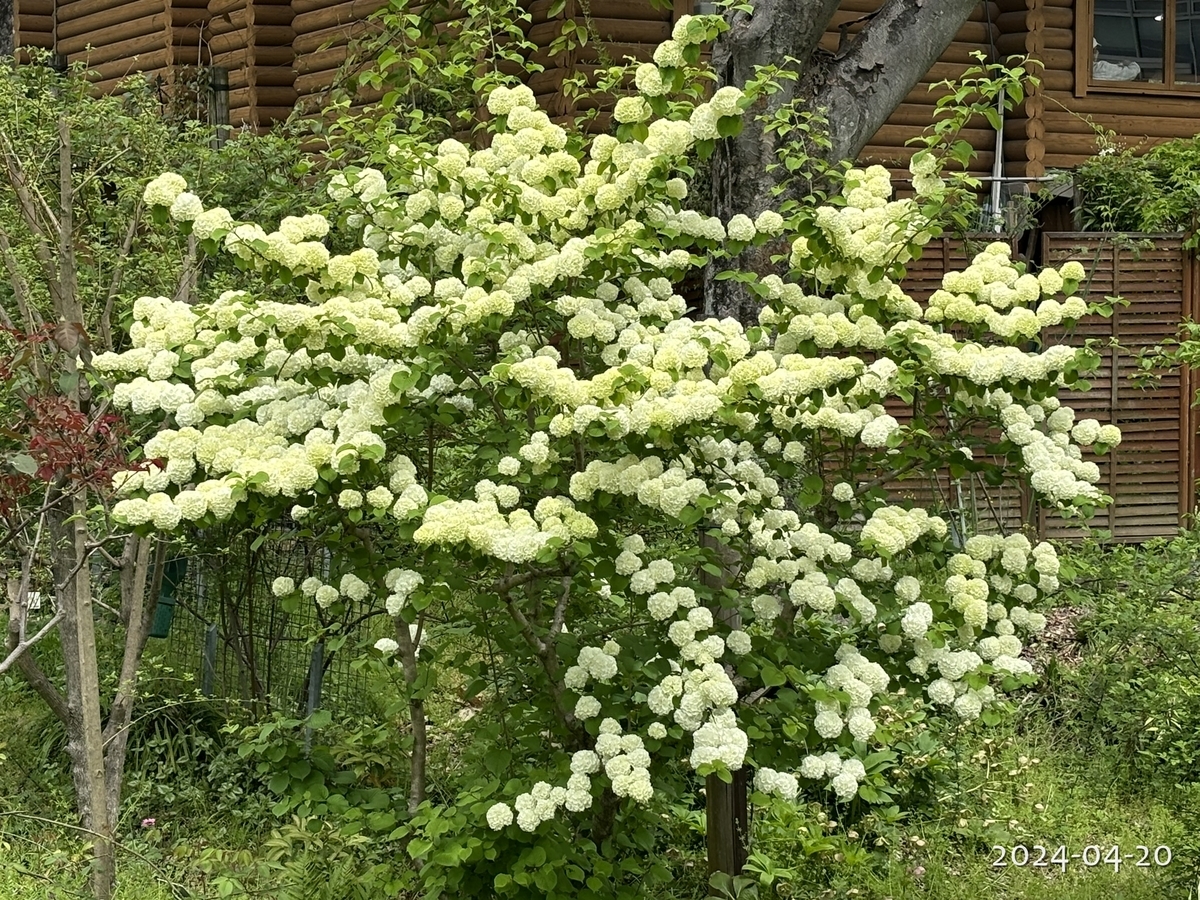 rio's blog since 2023