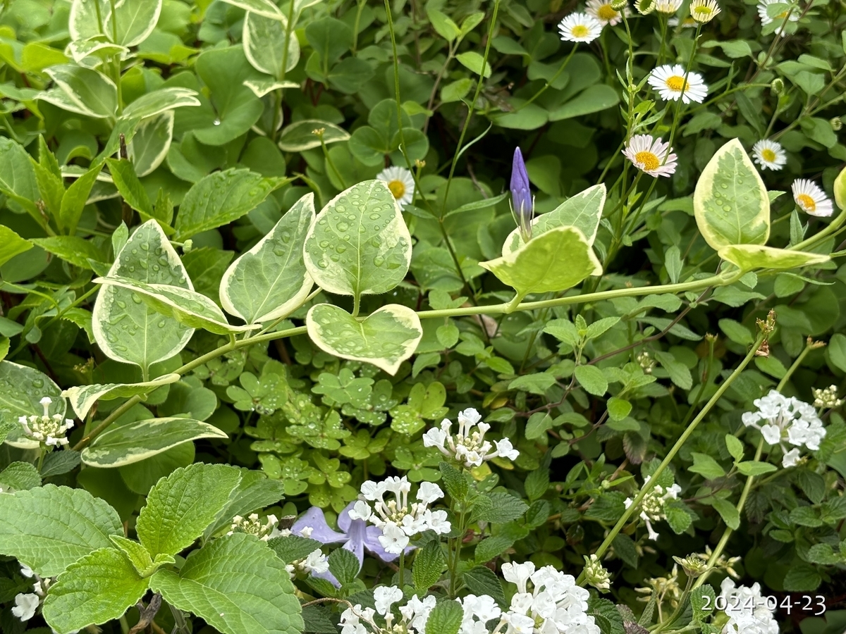 rio's blog since 2023