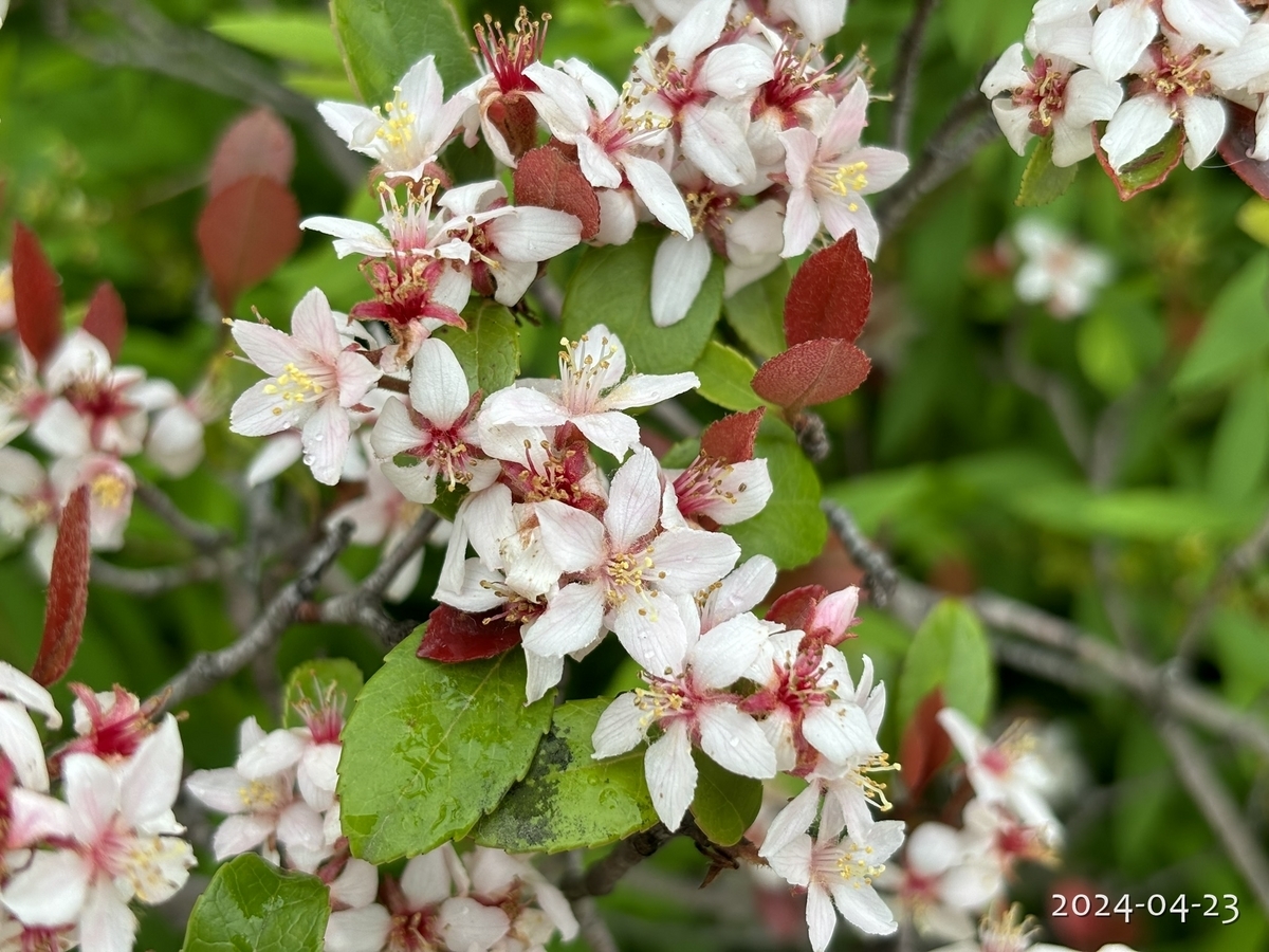 rio's blog since 2023