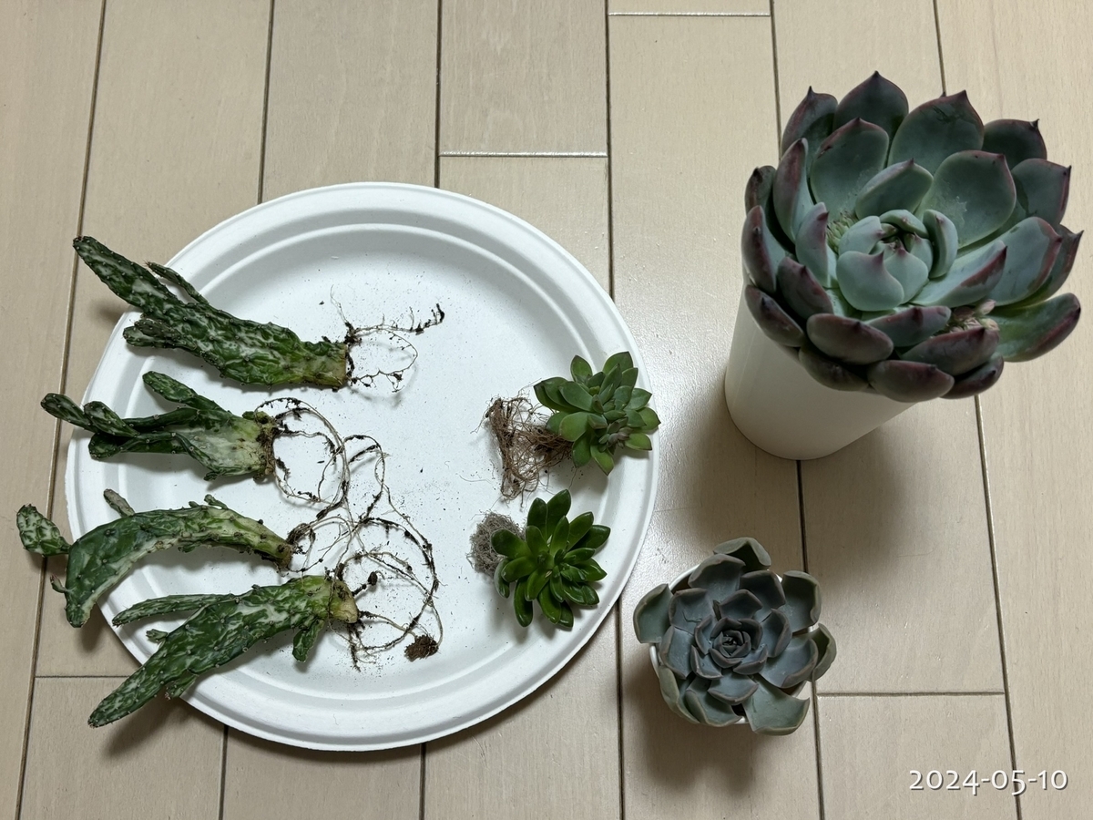 rio's blog since 2023