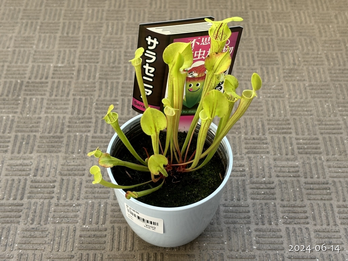 rio's blog since 2023