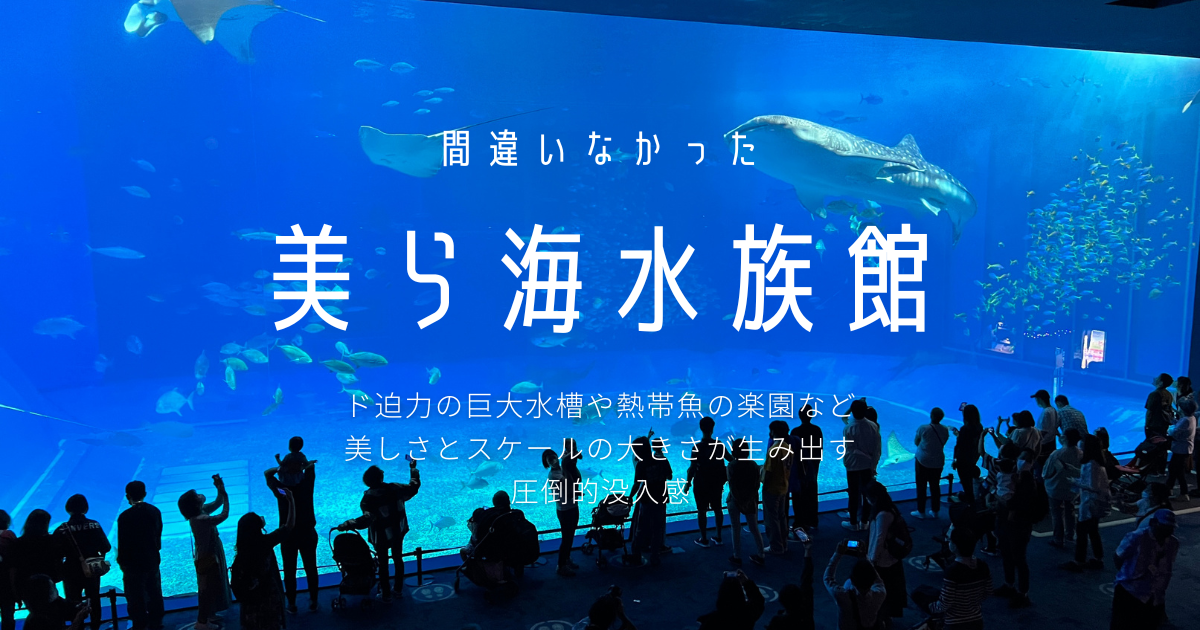沖縄美ら海水族館の没入感がすごい！見るもの全てが大迫力で美しすぎる巨大水槽や熱帯魚の楽園などオススメスポット紹介 - 週末はじめました。