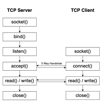 Goを用いてTCPソケット通信を学ぶ - Ryo Nakamine