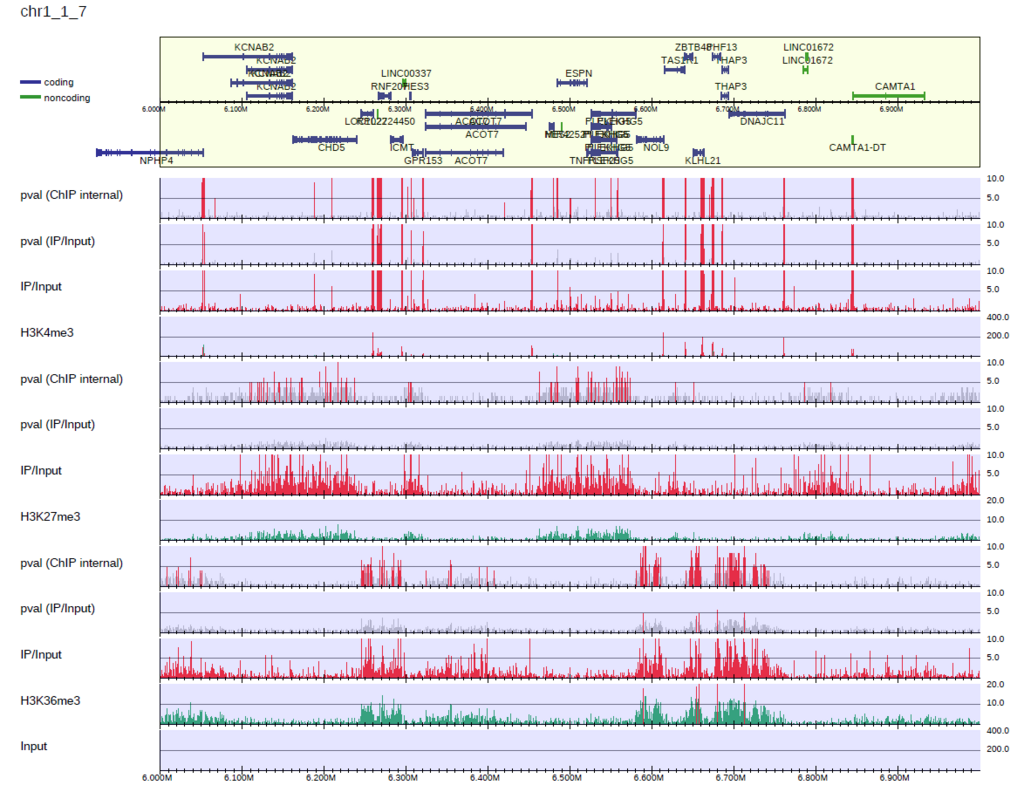 DROMPA3: その6 ChIP/Input ratio 及び p値の可視化 - Palmsonntagmorgen