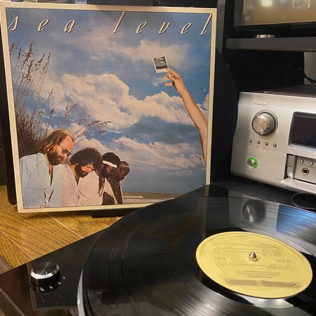 【レコードとわたし】Sea Level – Sea Level - ホームランブログ