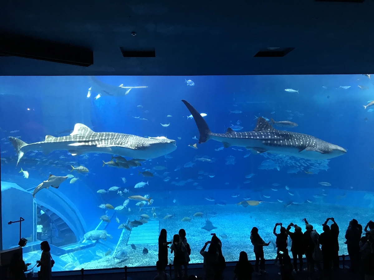 新型コロナウイルスで春休み家族旅行断念！ - のんびりゴローのブログ