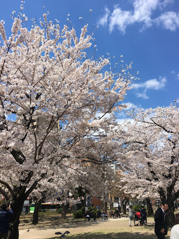 bjユースカップ二日目 - rougeref’s diary