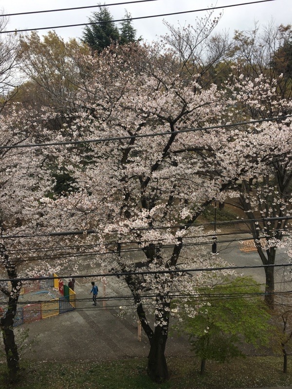 保善カップ - rougeref’s diary