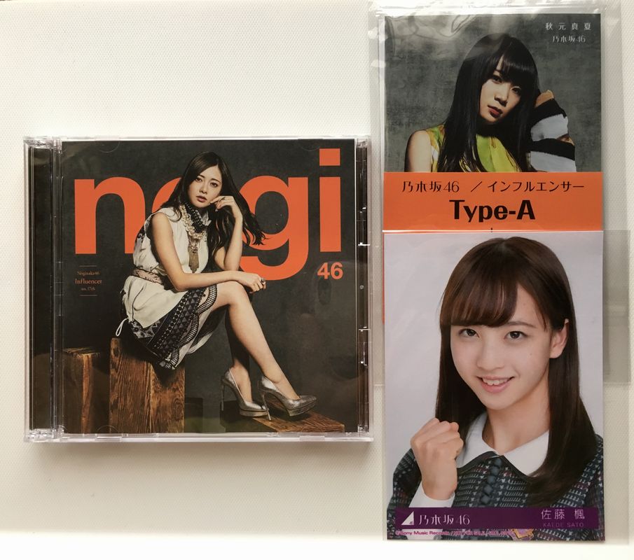 インフルエンサー Type-A - ryo-kng's blog