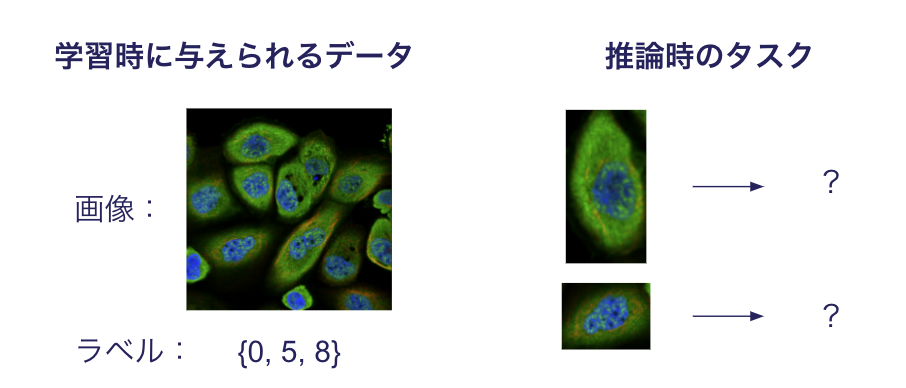 コンペで使える！？LightGBMで実装する3つの弱教師あり学習 - ABEJA Tech Blog