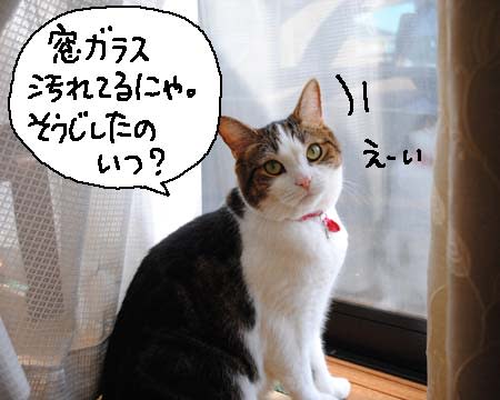 ボクが言わなきゃ。 - リュウのヒゲ、空の耳。