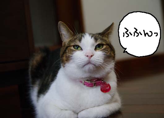 乾燥肌？ - リュウのヒゲ、空の耳。