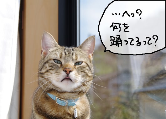 ダンス必修。 - リュウのヒゲ、空の耳。