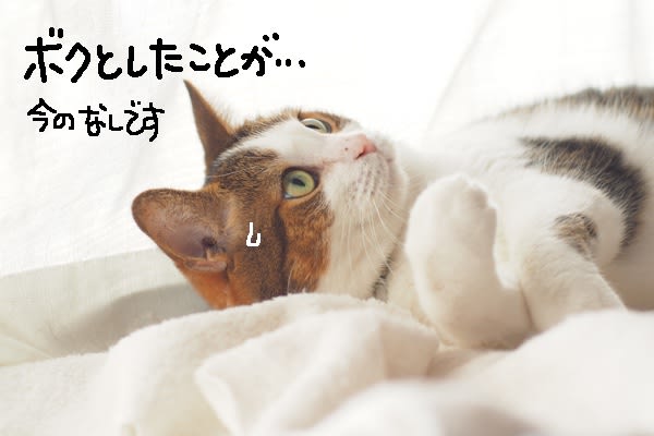 秋はどこから？の空の回答 - リュウのヒゲ、空の耳。