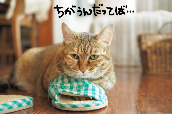 ちがうのよ - リュウのヒゲ、空の耳。