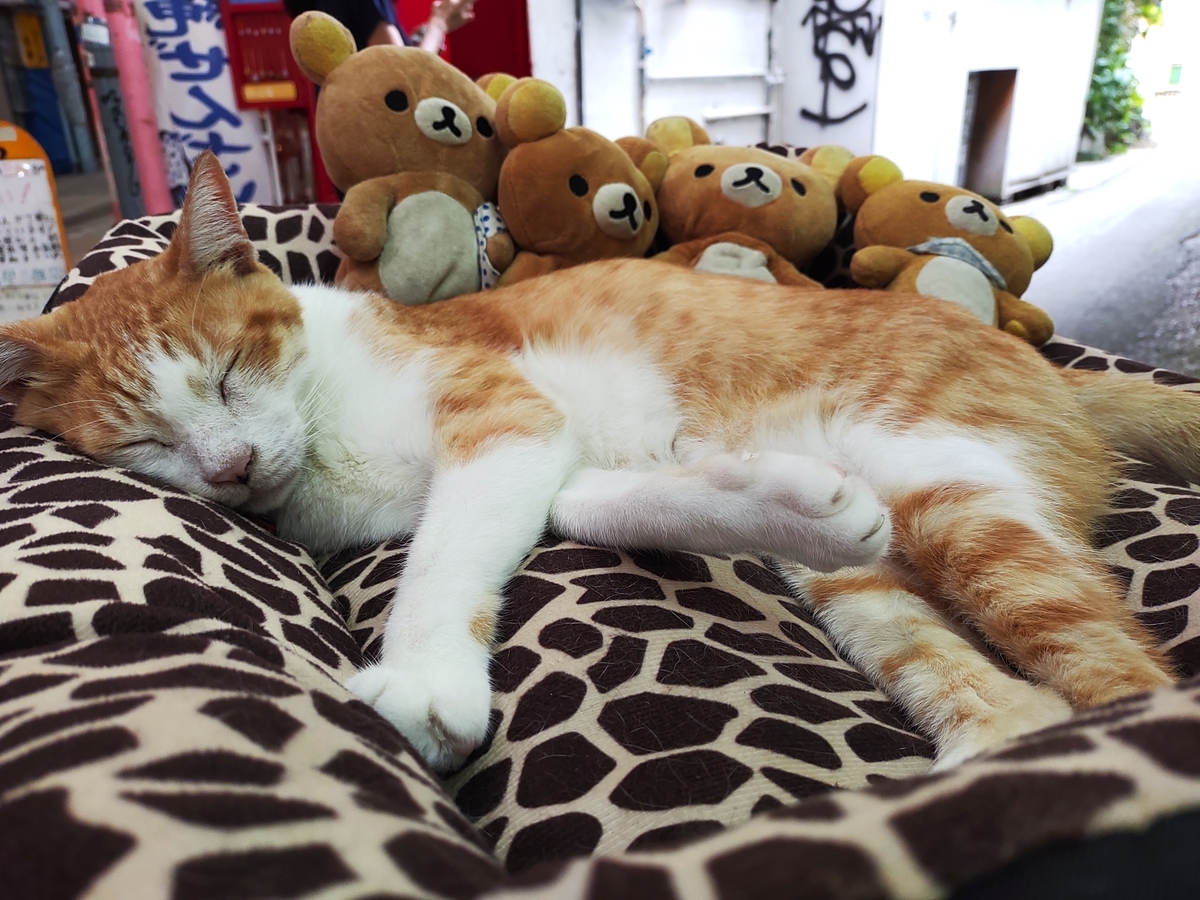 スペイン映画「マルコ」 - 神の島 琉球RYUKYU