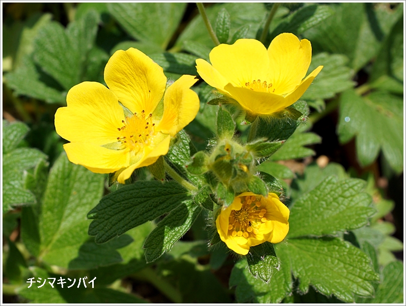 - ryuryu3ruko’s blog