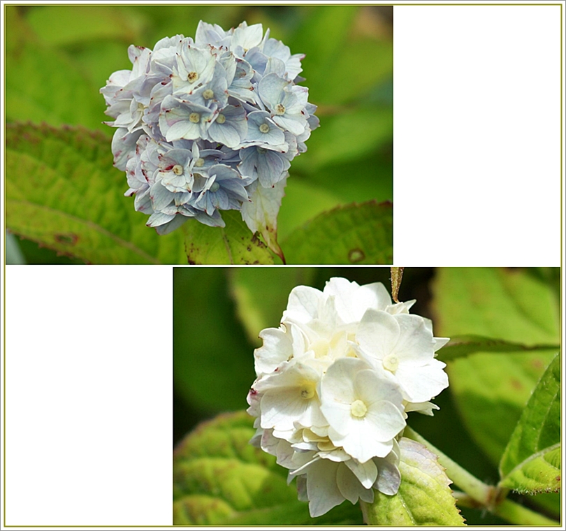 変化しました - ryuryu3ruko’s blog