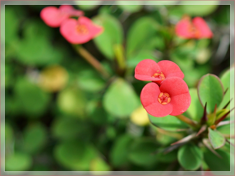 ビックリ！ - ryuryu3ruko’s blog