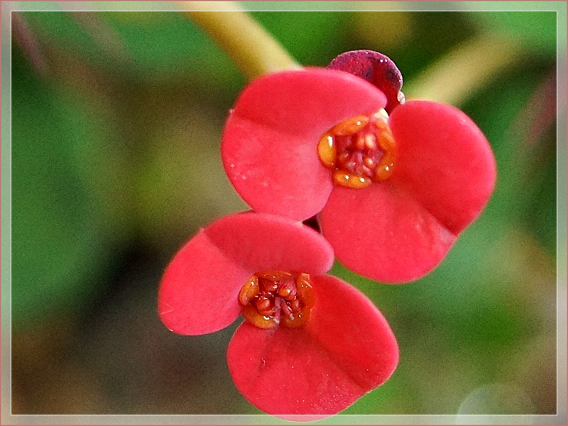 ビックリ！ - ryuryu3ruko’s blog