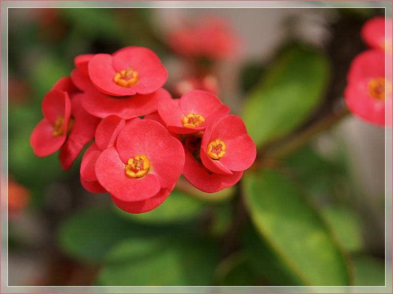 ビックリ！ - ryuryu3ruko’s blog