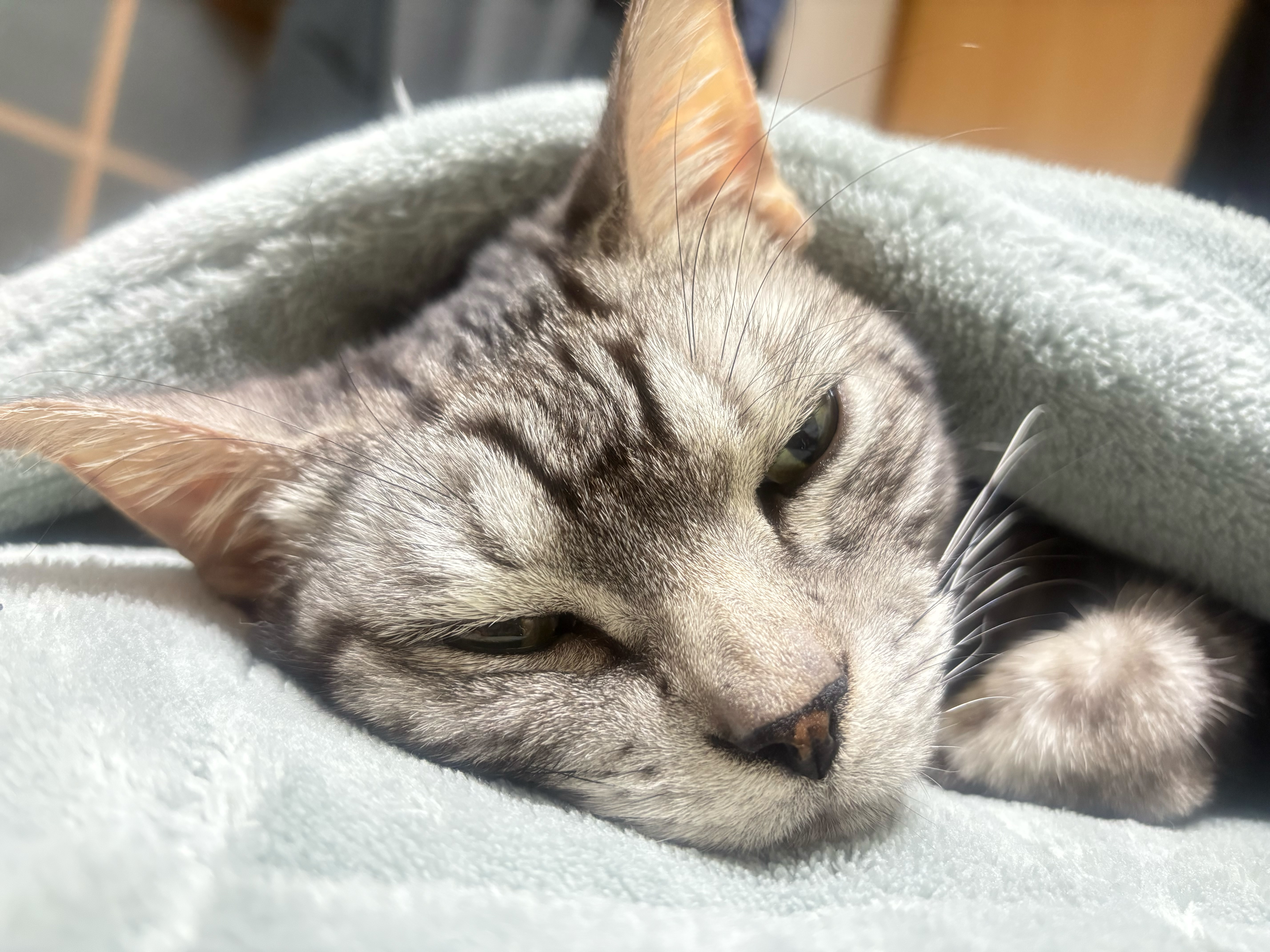 宵えびす・・ - anzu&hayato