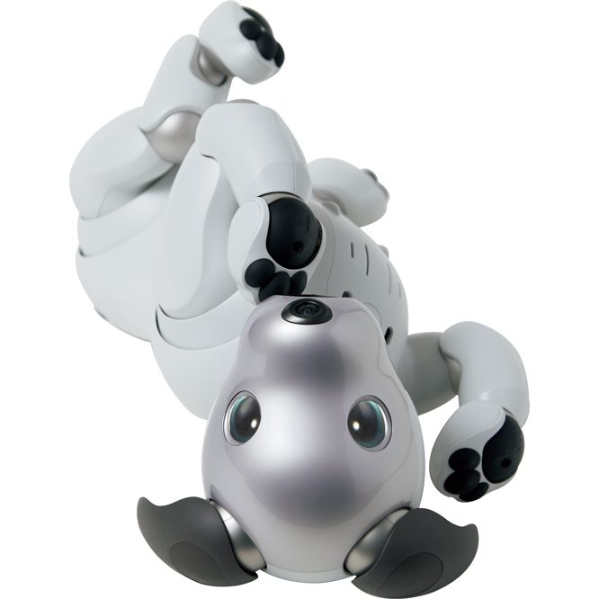 aiboがすごい！人気の秘密とおすすめポイントを徹底レビュー - ぴろのウイスキーブログ