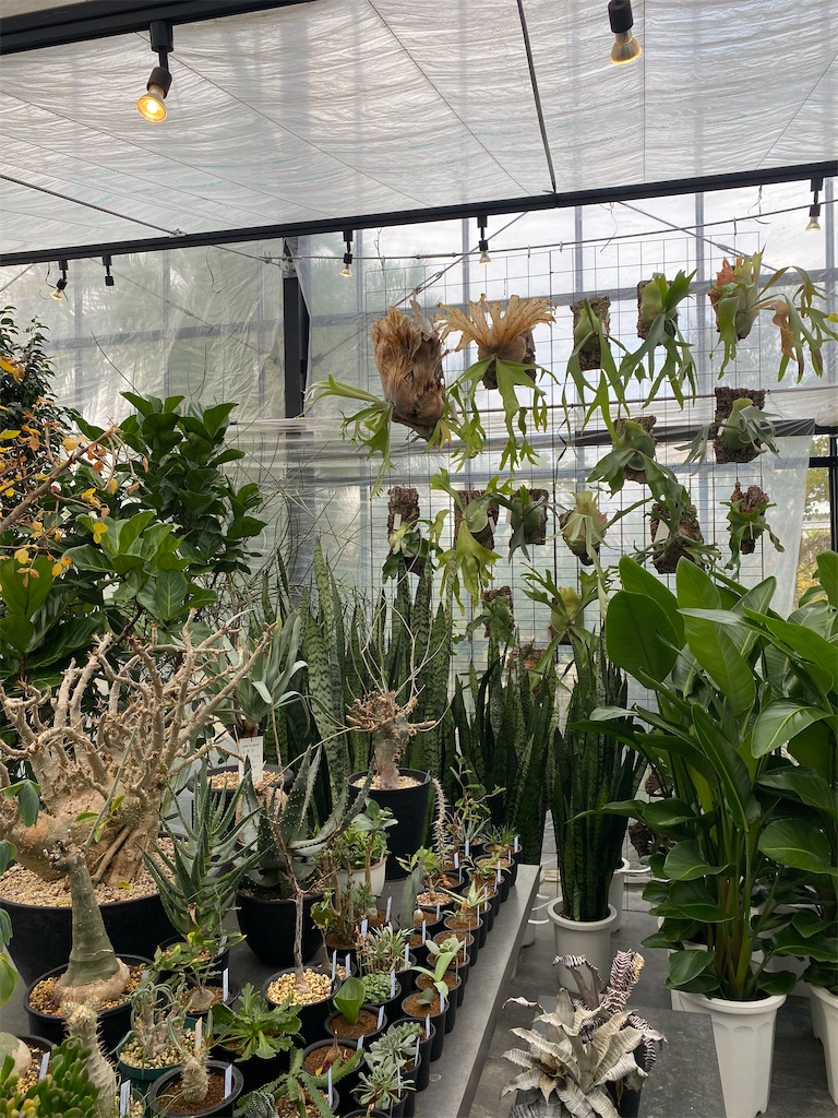 sak__flowerの日記