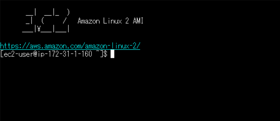 AWSでLinuxベースのCLIをお手軽に使いたい - APC 技術ブログ