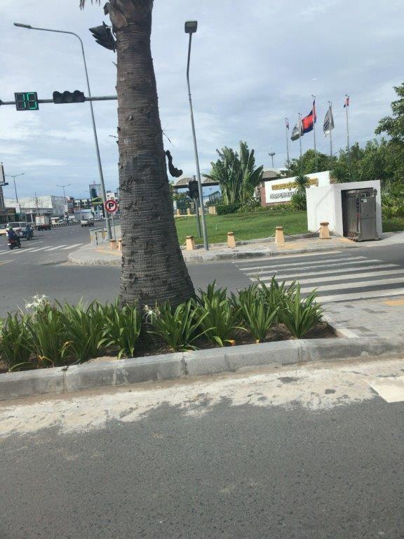 シンガポール航空 SQ157 プノンペン国際空港(PNH)-チャンギ国際空港(SIN) 搭乗記 （2021年6月コロナ禍のフライト） - ゆる ...