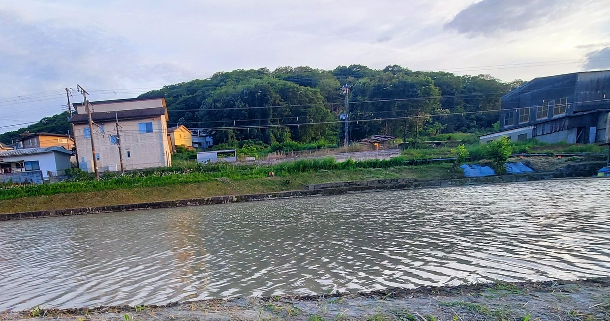 田んぼの風景 - sakoのフォトブログ