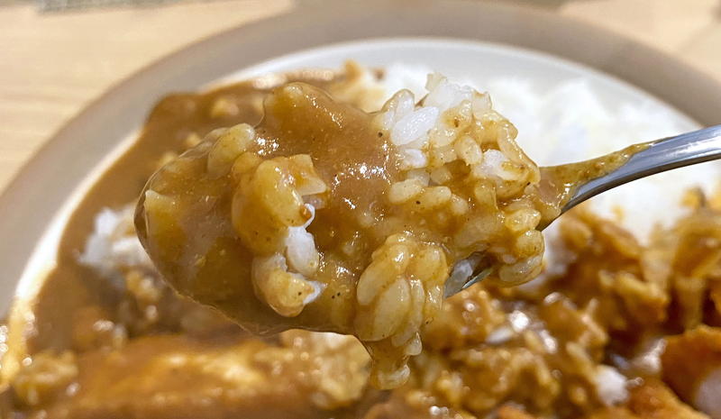 【閉店】『AJ CURRY』静岡人宿町で鰹出汁香る和風カツカレー！ - 静岡市観光＆グルメブログ『みなと町でも桜は咲くら』