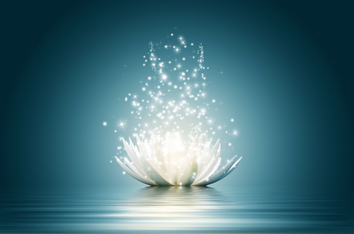 ☆咲箭の部屋☆