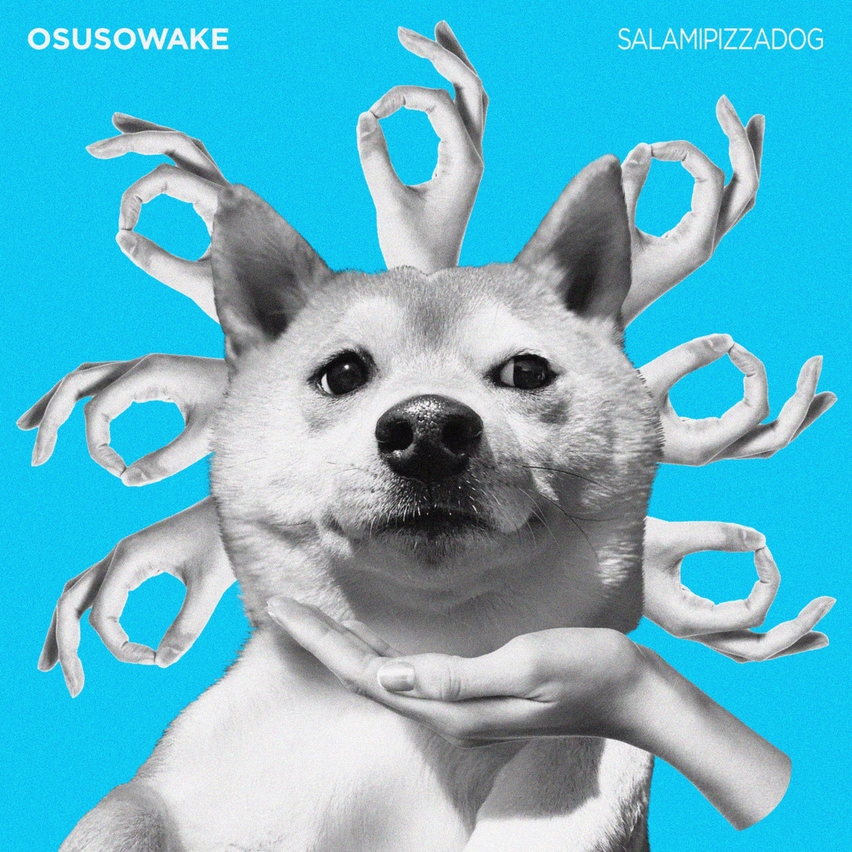『OSUSOWAKE』リリース記念インタビュー - salamipizzablog
