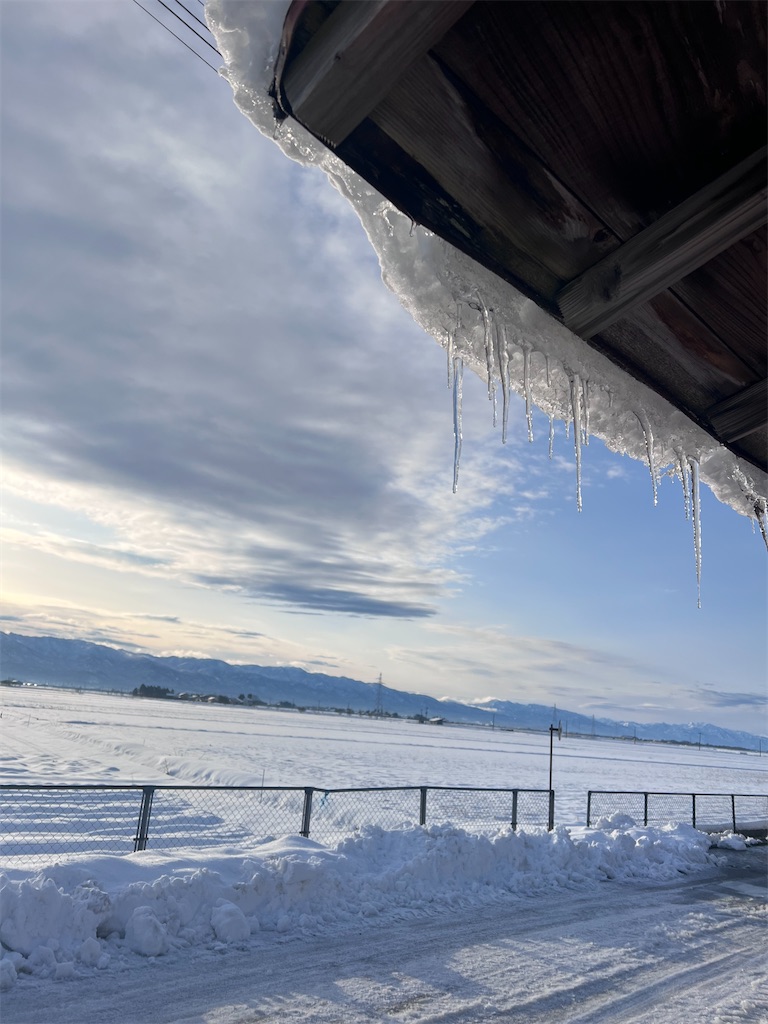 隣ん家（となりんち）全滅 - salon_bianca’s blog