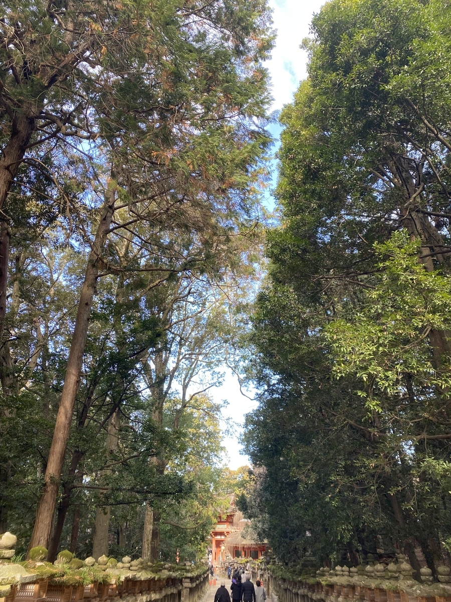 初詣（春日大社） - samehada_restartの日記