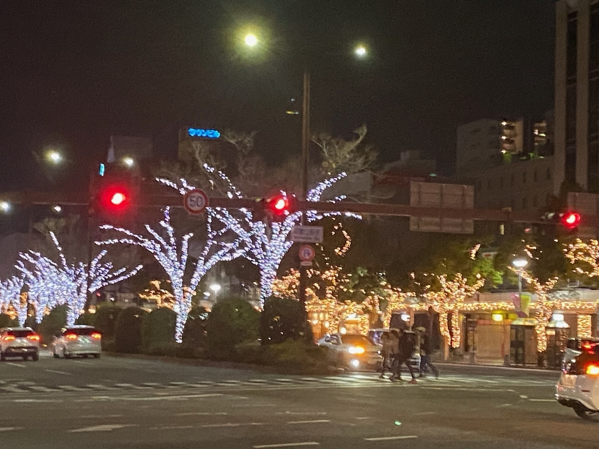 イヴ と クリスマス🎄.* - santa_nyan’s blog