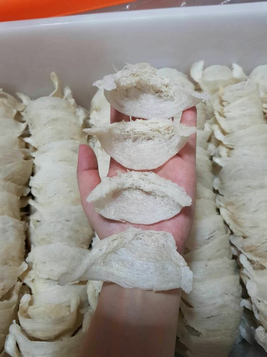 Konsultasi Penanganan Khusus untuk Gedung Walet, Tips dan Trik yang ...