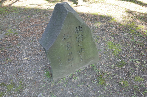 最近の出張実験3 (UVSOR BL2B) - Yamada-lab’s blog