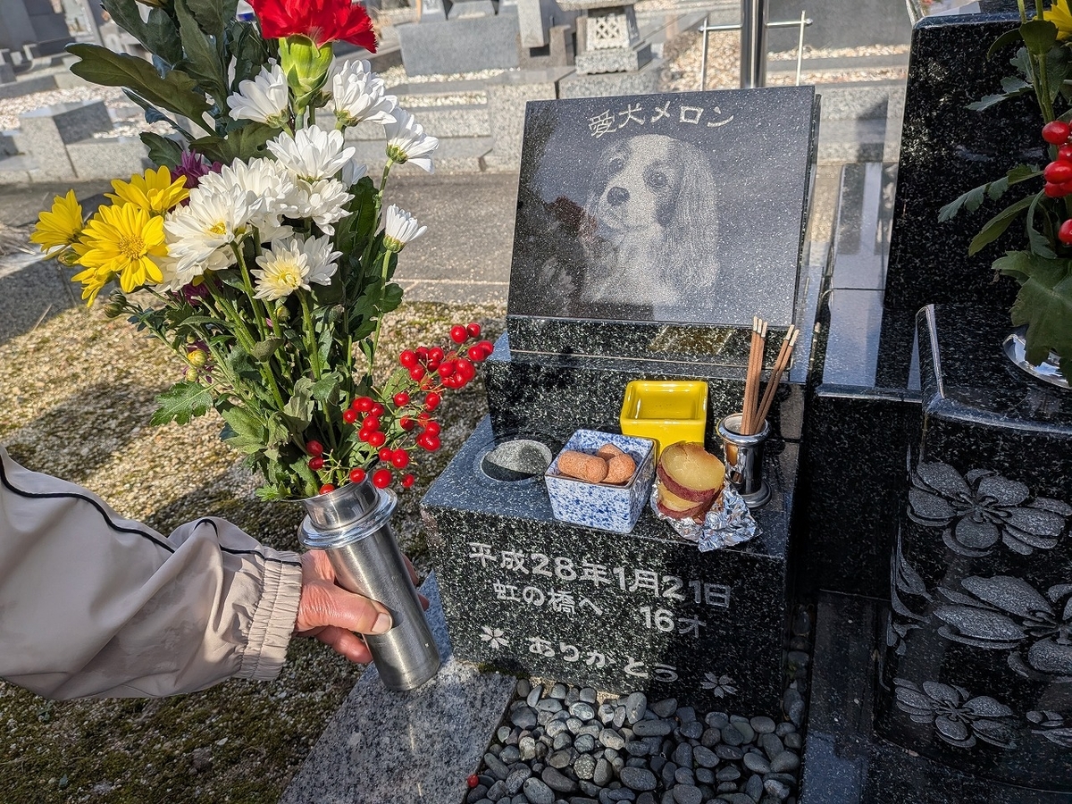 大晦日は大忙しでノルマ達成でした - 愛犬メロンパパの気まぐれ日記
