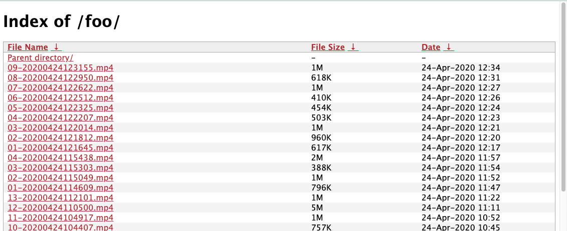 Nginx の Fancy Index を最も手っ取り早く使う方法 - sashimi4’s diary