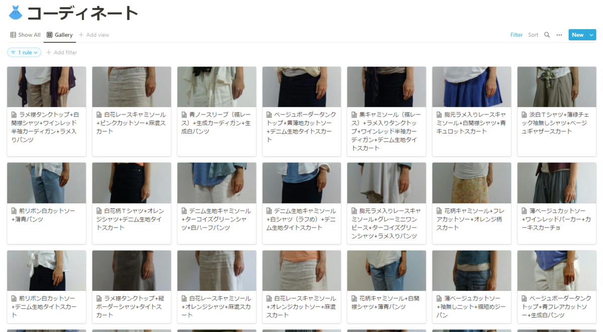 Notion Network Viewer - Sato’s Diary