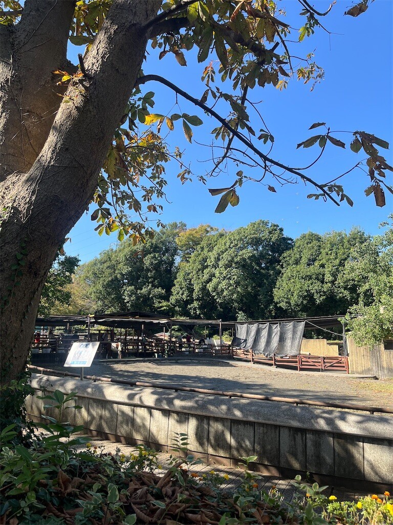 秋の行楽 - リツエアクベバ